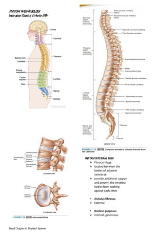 Human Physiology & Pathophysiology UNIT 3.pdf