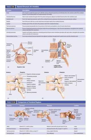 Human Physiology & Pathophysiology UNIT 3.pdf