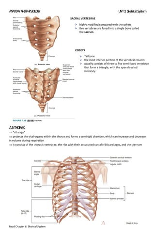 Human Physiology & Pathophysiology UNIT 3.pdf