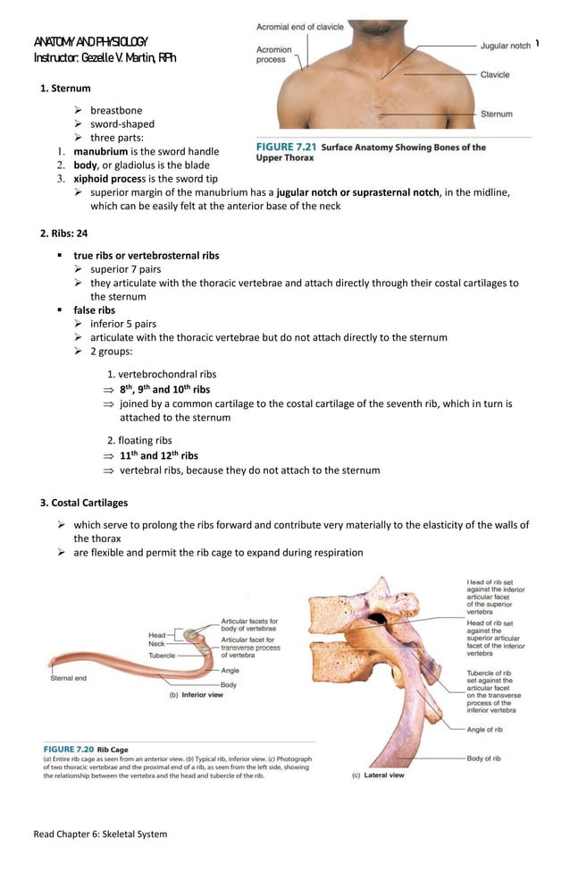 Human Physiology & Pathophysiology UNIT 3.pdf