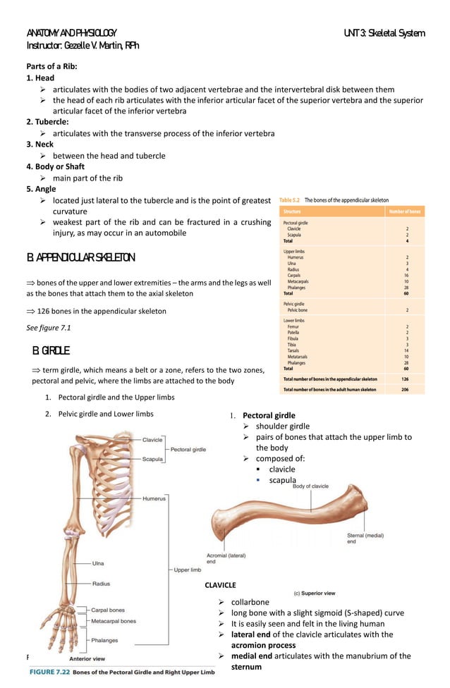 Human Physiology & Pathophysiology UNIT 3.pdf