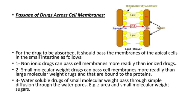 Unit 3.3. Recombinant hormones (2).pptx | Free Download
