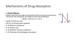 Unit 3.3. Recombinant hormones (2).pptx