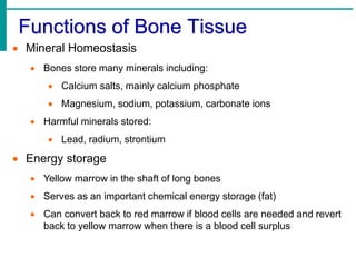skeletal | PPT