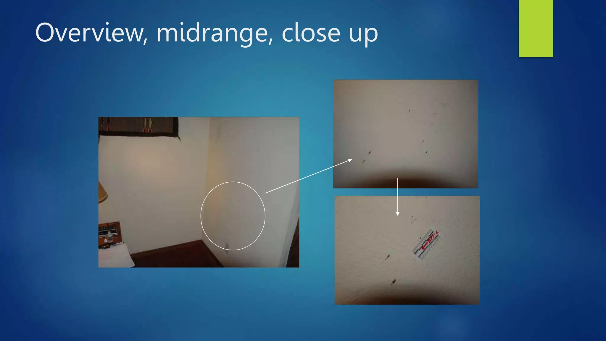 Crime Scene Photography | PPTX