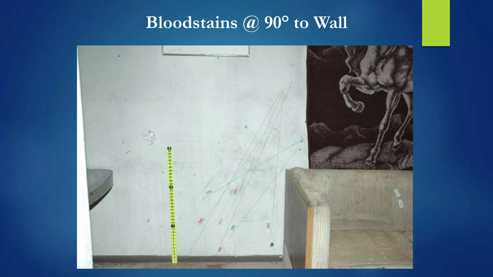 Crime Scene Photography | PPTX