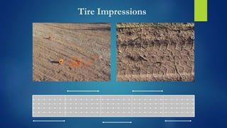 Crime Scene Photography | PPTX