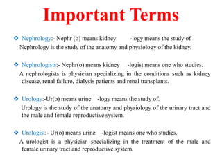 unit 3.pptx URINARY SSYTEM IN MEDICAL SURGICAL NURSING | PPTX