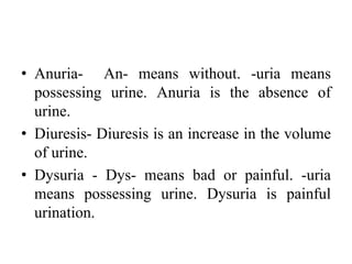 unit 3.pptx URINARY SSYTEM IN MEDICAL SURGICAL NURSING | PPTX
