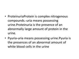 unit 3.pptx URINARY SSYTEM IN MEDICAL SURGICAL NURSING | PPTX