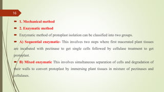 Plant tissue culture pharmacongosy-1 Semester 4 | PPTX