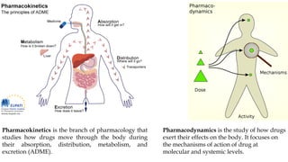 DRUG DISCOVERY AND DRUG DESIGNING BEST PPT | PPTX