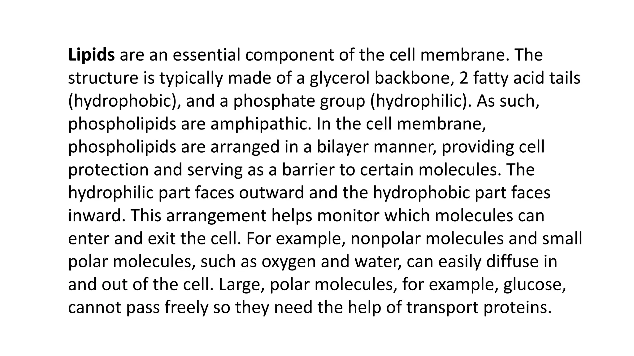 Unit 3.1 Biochemistry Macromolecules of human body.pdf