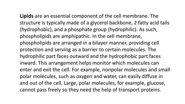 Unit 3.1 Biochemistry Macromolecules of human body.pdf