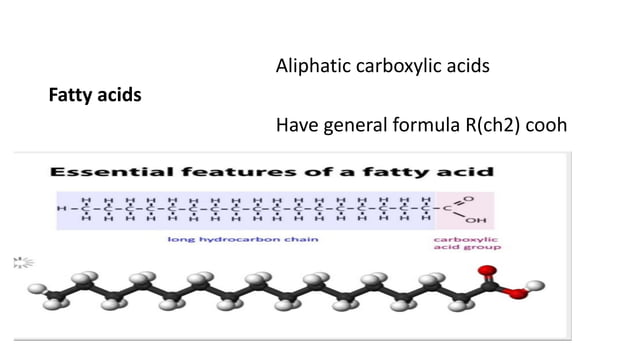 Unit 3.1 Biochemistry Macromolecules of human body.pdf