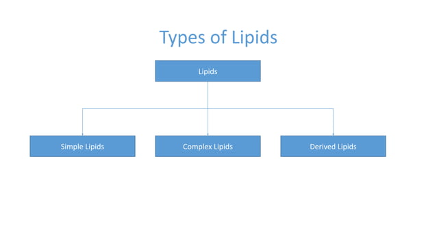 Unit 3.1 Biochemistry Macromolecules of human body.pdf
