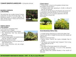 Sustainable Development: Greenfield vs Brownfield Projects and ...
