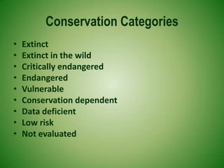 Introduction to Biodiversity | PPTX