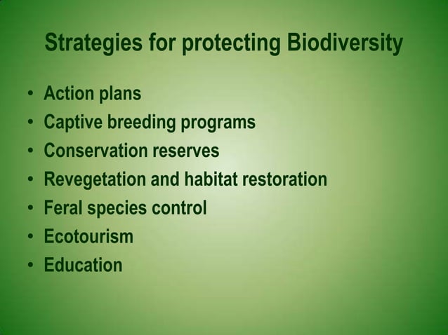 Introduction to Biodiversity | PPTX