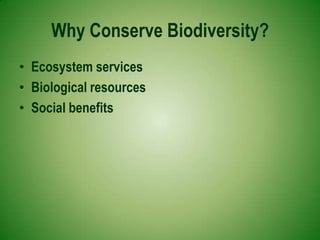 Introduction to Biodiversity | PPTX