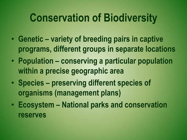 Introduction to Biodiversity | PPTX