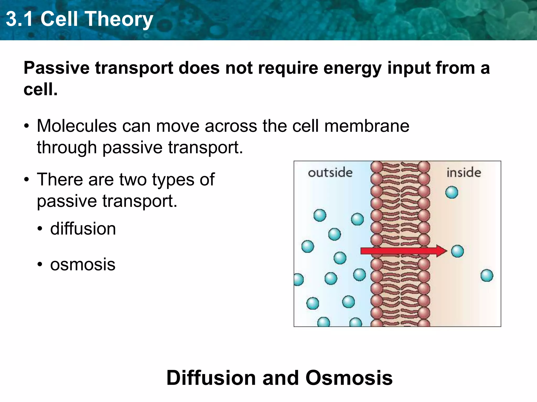 Unit 3 Cell Membranes, Diffusion, And Osmosis | PPT