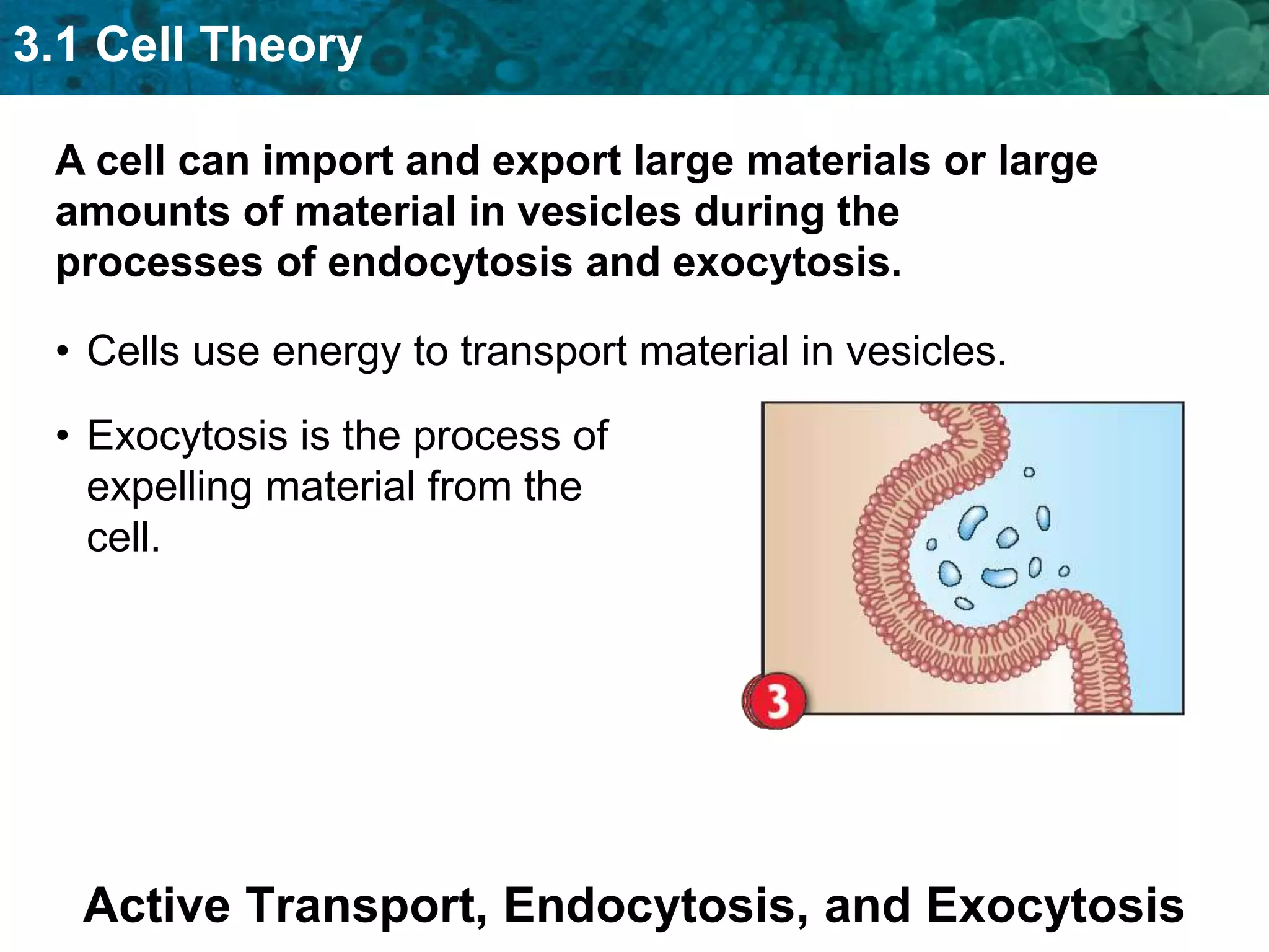 Unit 3 Cell Membranes, Diffusion, And Osmosis | PPT