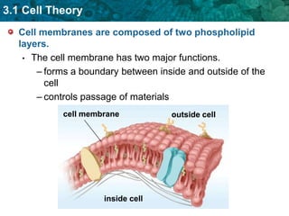 Unit 3 Cell Membranes, Diffusion, And Osmosis | PPTX