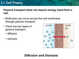 Diffusion Cell Membrane