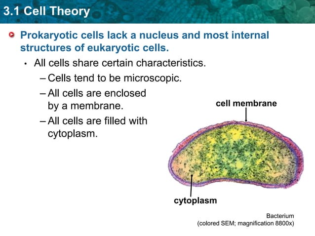 Unit 3 Cell Theory And Organelles | PPTX