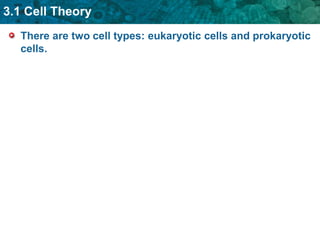 Unit 3 Cell Theory And Organelles | PPTX