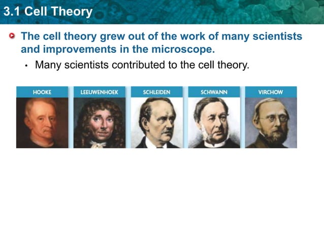 Unit 3 Cell Theory And Organelles | PPTX