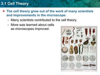 Unit 3 Cell Theory And Organelles | PPTX