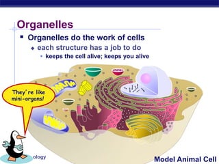 Unit 3 - Ch 7.3 Cell Organelles | PPSX