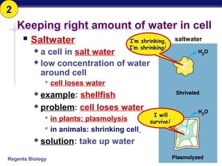 Unit 3 Ch 7.2 Cell Membranes | PPT