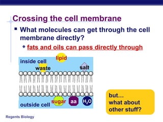 Unit 3 Ch 7.2 Cell Membranes | PPT