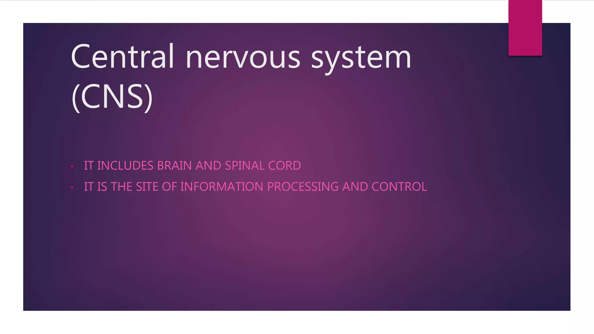 Central Nervous system CNS | PPT