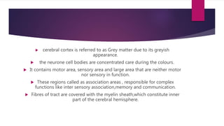 Central Nervous system CNS | PPTX