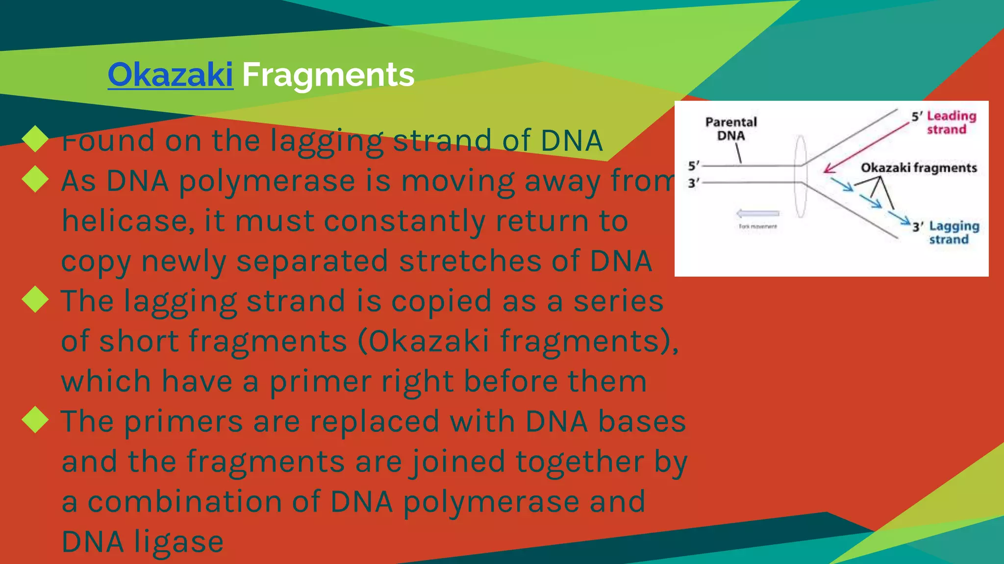 Unit 3 evolution of the sickest | PPT
