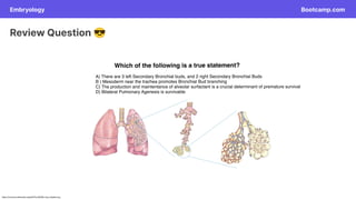Unit 3 - Final.pdf embryology usmle bootcamp | PDF