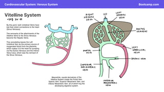 Unit 3 - Final.pdf embryology usmle bootcamp | PDF