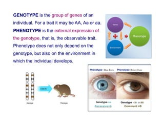 Unit3 genetics | PDF