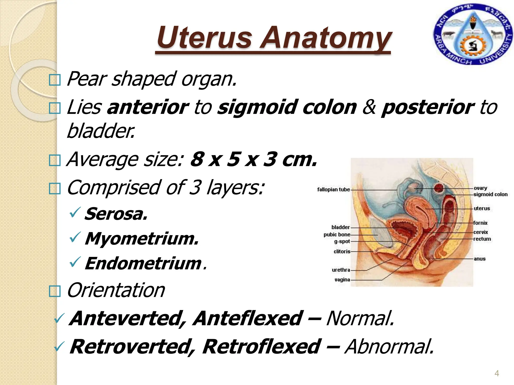 Special radiographic procedure -Hysterosalpingography.pptx