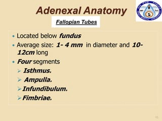 Special radiographic procedure -Hysterosalpingography.pptx