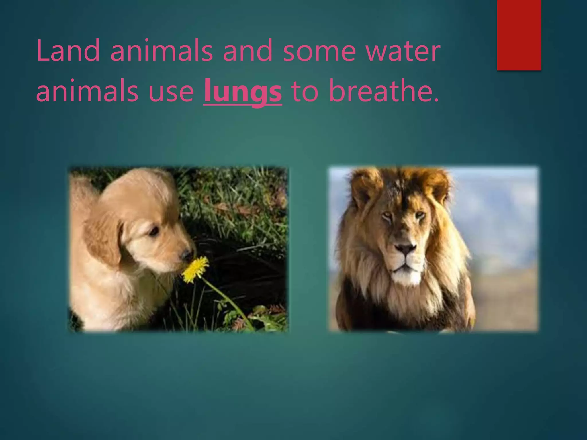 Unit3 lesson 2 | PPTX