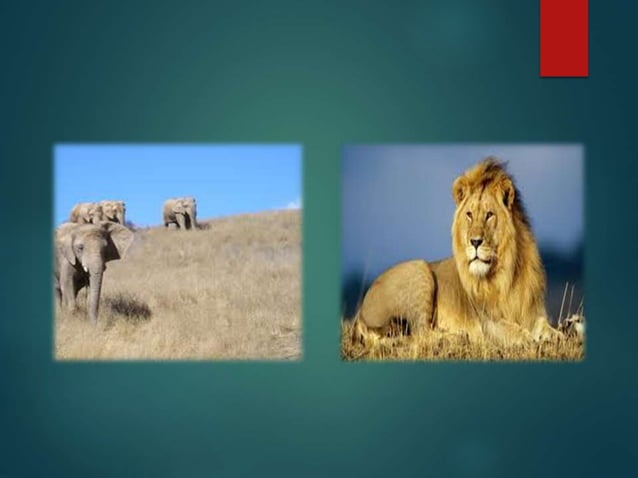 Unit3 lesson 2 | PPT