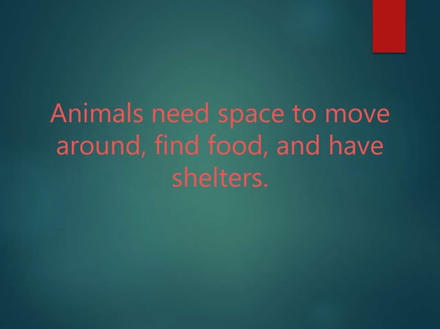 Unit3 lesson 2 | PPT