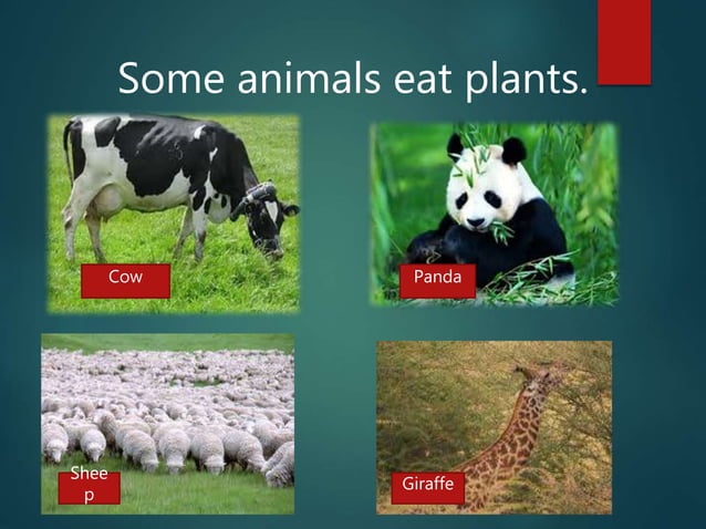 Unit3 lesson 2 | PPT