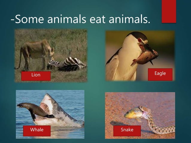 Unit3 lesson 2 | PPT