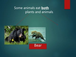 Unit3 lesson 2 | PPT